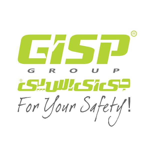 شیلنگ خروجی 2 آب رادیاتور شاهین - 718072 - جی آی اس پی