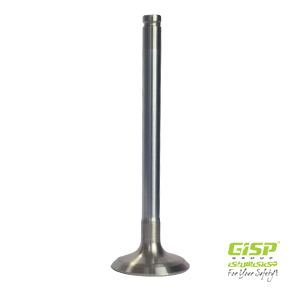 سوپاپ دود پژو 206 و 207 TU5 تیپ 5 (دست کامل) -258531 - جی آی اس پی